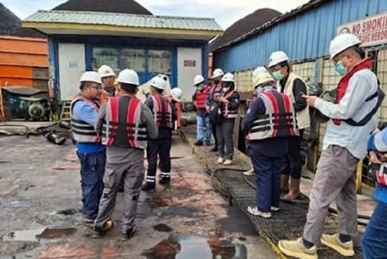 Pesut Mahakam di Ambang Punah, Lalu Lintas Tongkang Jadi Alarm Ekologis ...